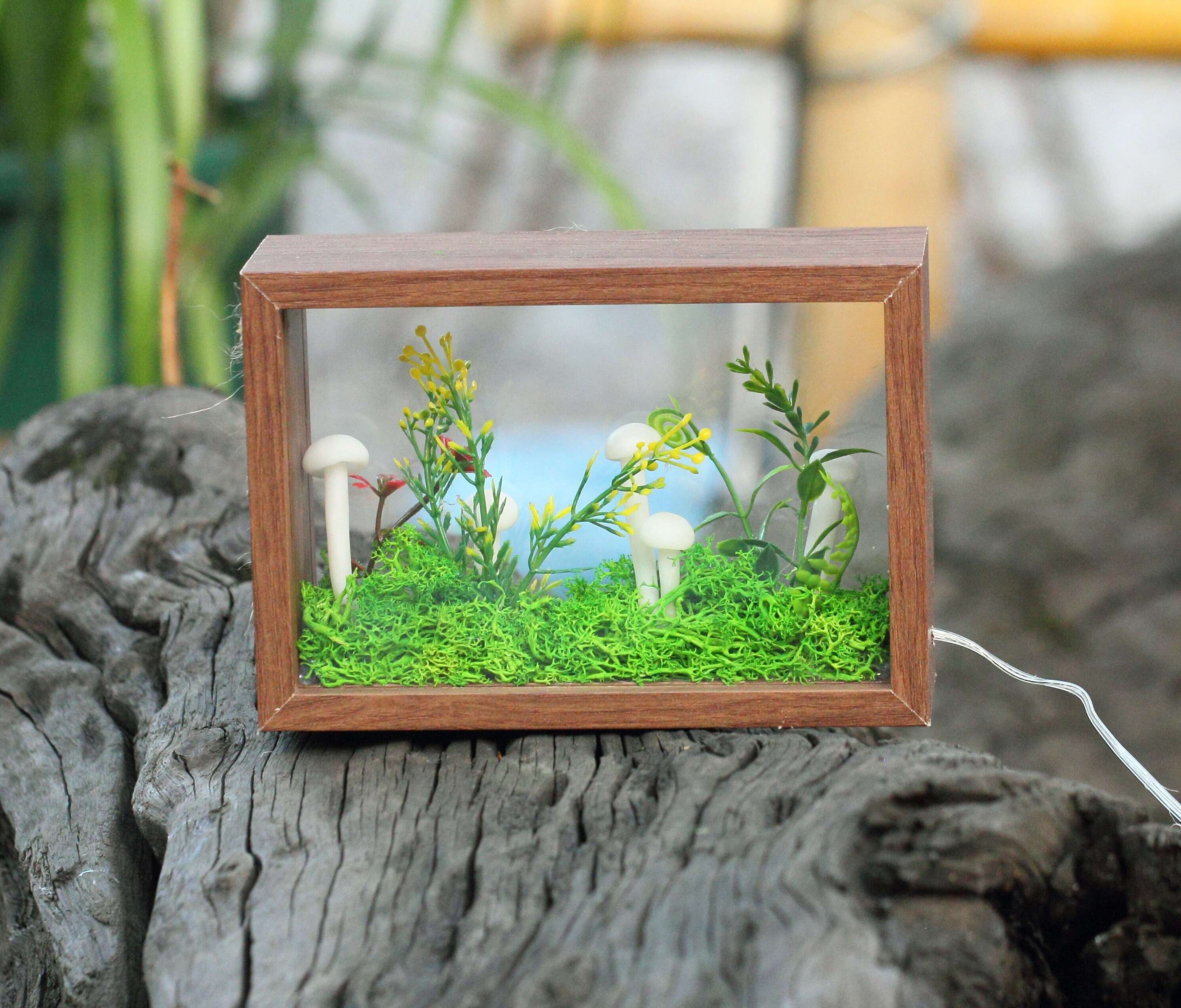 Special Art Frame Light, Forest Frame, Mushroom Light , Shadow Box ...