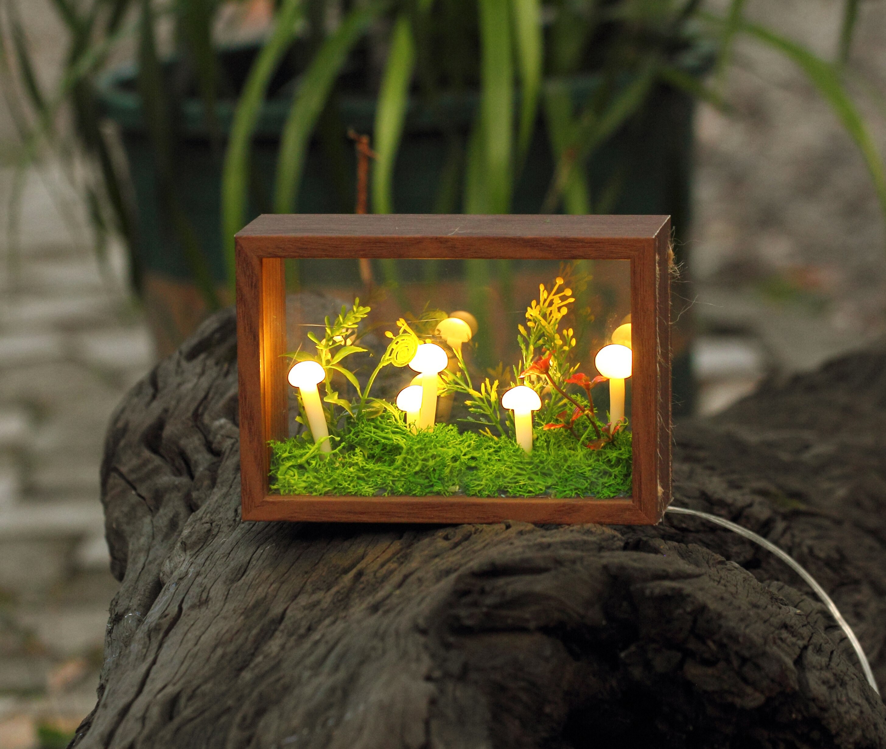 Special Art Frame Light, Forest Frame, Mushroom Light , Shadow Box ...