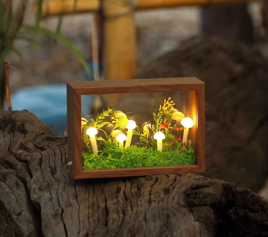 Special Art Frame Light, Forest Frame, Mushroom Light , Shadow Box ...