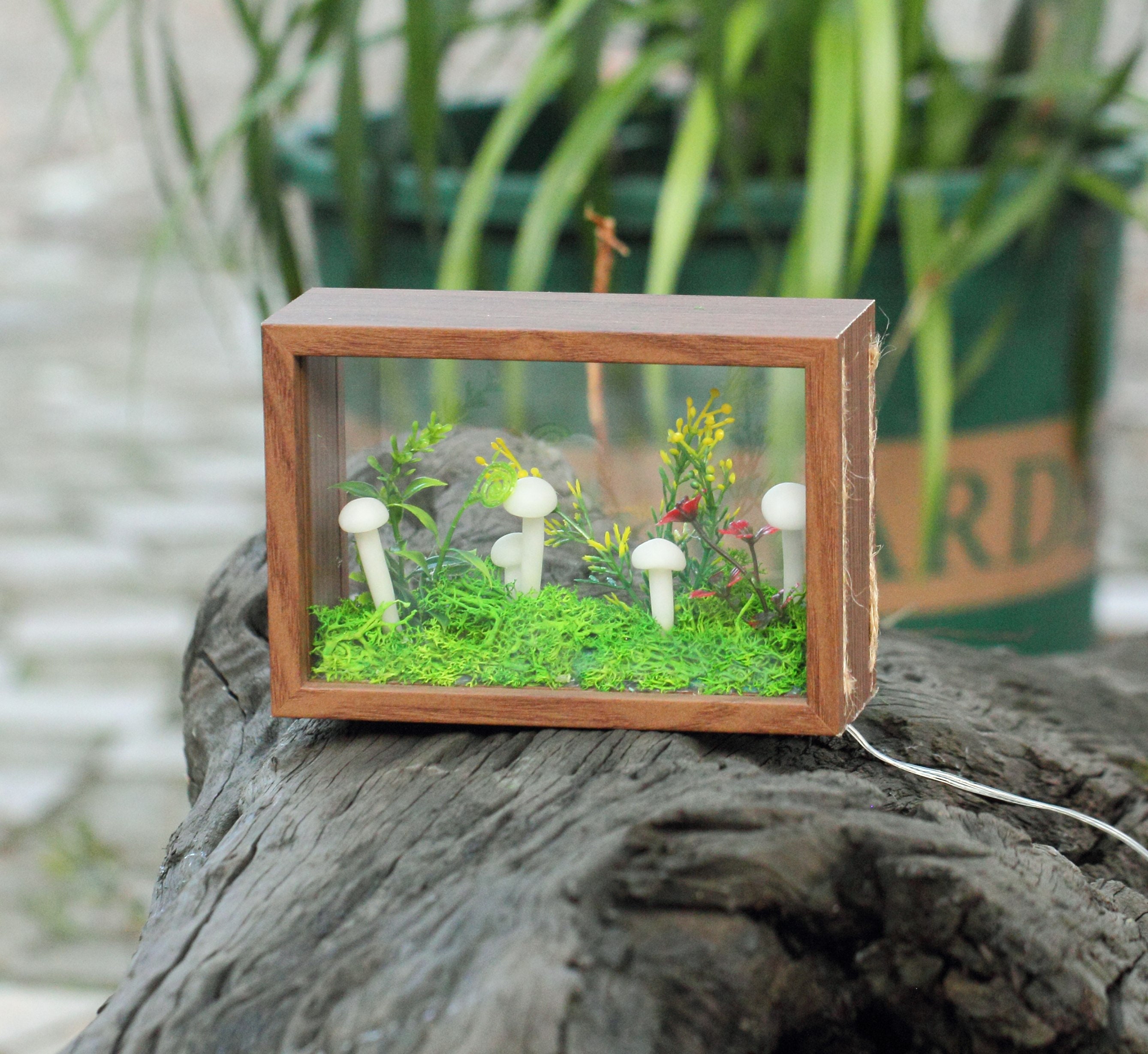 Special Art Frame Light, Forest Frame, Mushroom Light , Shadow Box ...