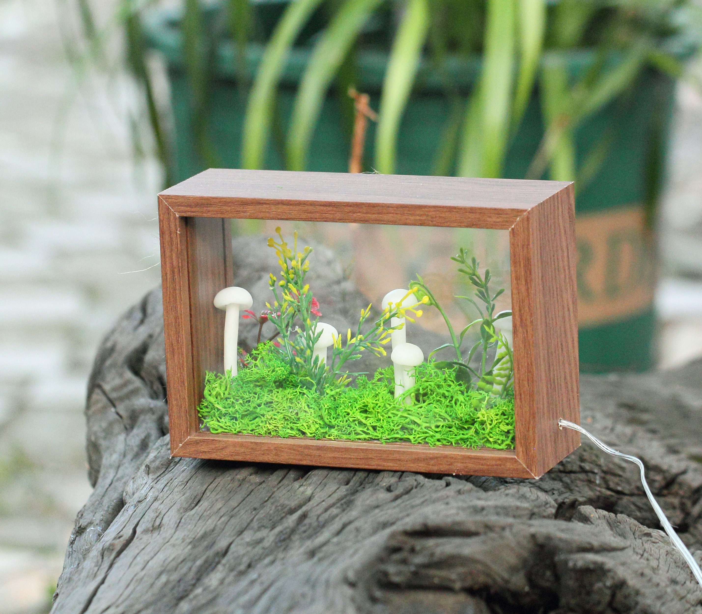 Special Art Frame Light, Forest Frame, Mushroom Light , Shadow Box ...