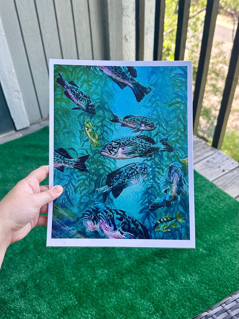 Rockfish With Kelp Print Drawing Ocean Fish Marine Blue Matted ...