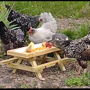 Chicken or Squirrel Feeder Picnic Table! Chicknic Table - Etsy