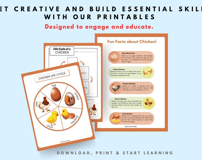 Foldable Chicken Life Cycle Learning Activity for Kids | A4 and 11x8.5 ...