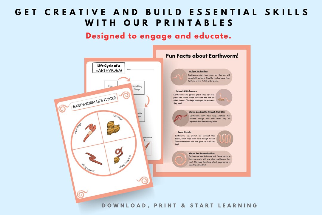 Earthworm Life Cycle Printable Poster for Kids | Educational Biology ...