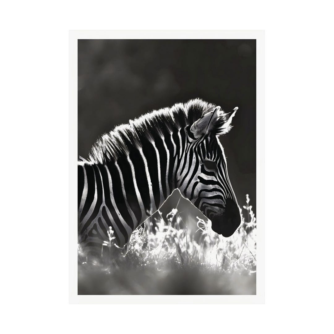 Black and White Zebra Artwork Print Poster | Accent Wall Art Wildlife ...