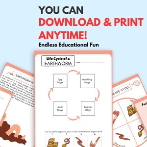 Earthworm Life Cycle Printable Poster for Kids | Educational Biology ...