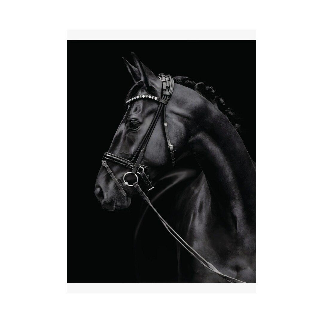 Black Horse Poster, Equestrian Art for Animal Lover Decor- Stallion ...