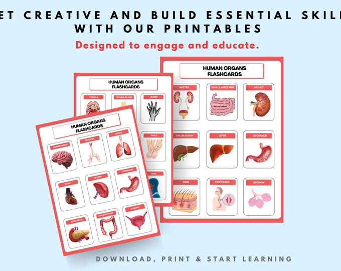 18 Montessori Body Parts / Human Anatomy and Organs / 3-piece Cards ...