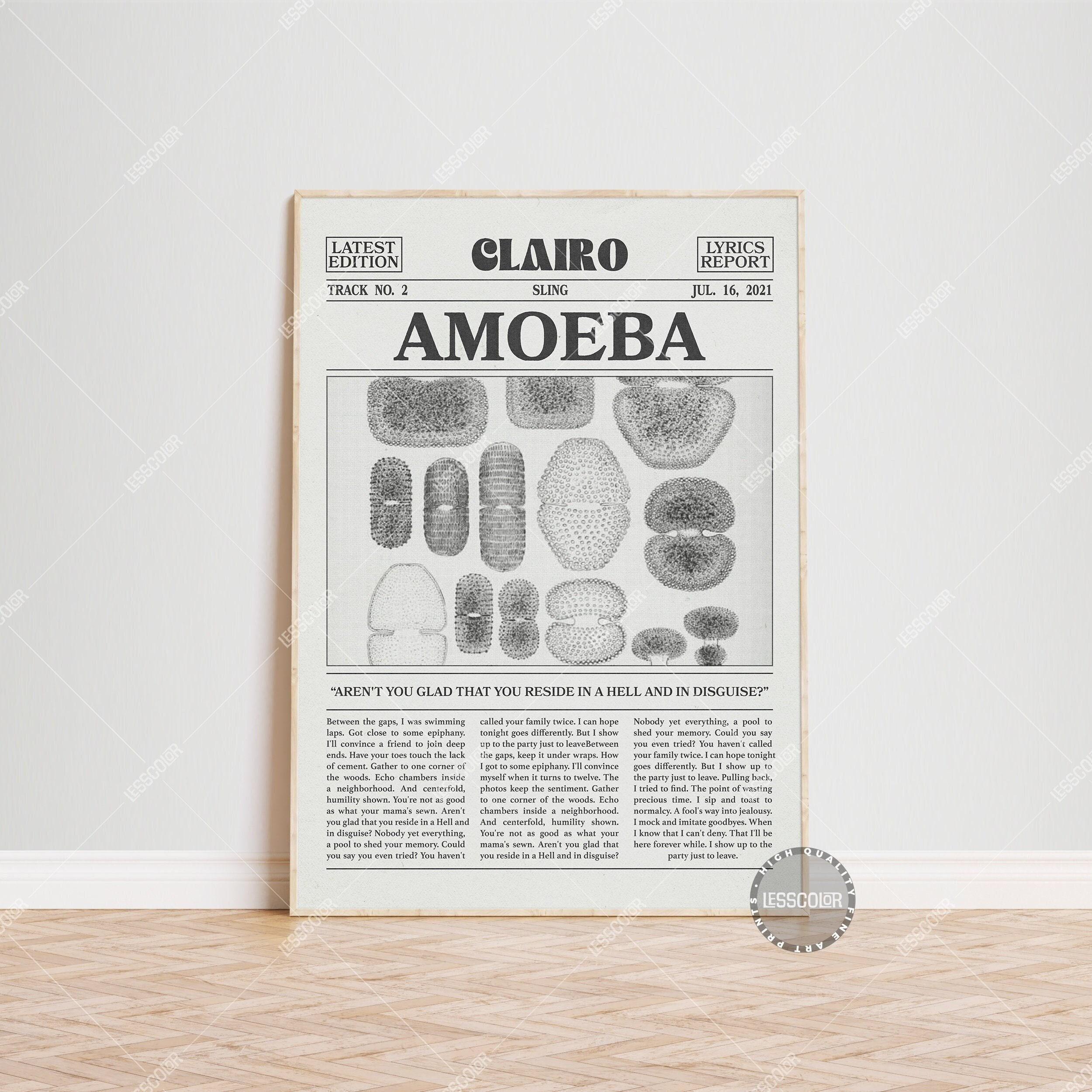 Clairo Retro Newspaper Print, Amoeba Poster, Amoeba Lyric Print, Clairo ...