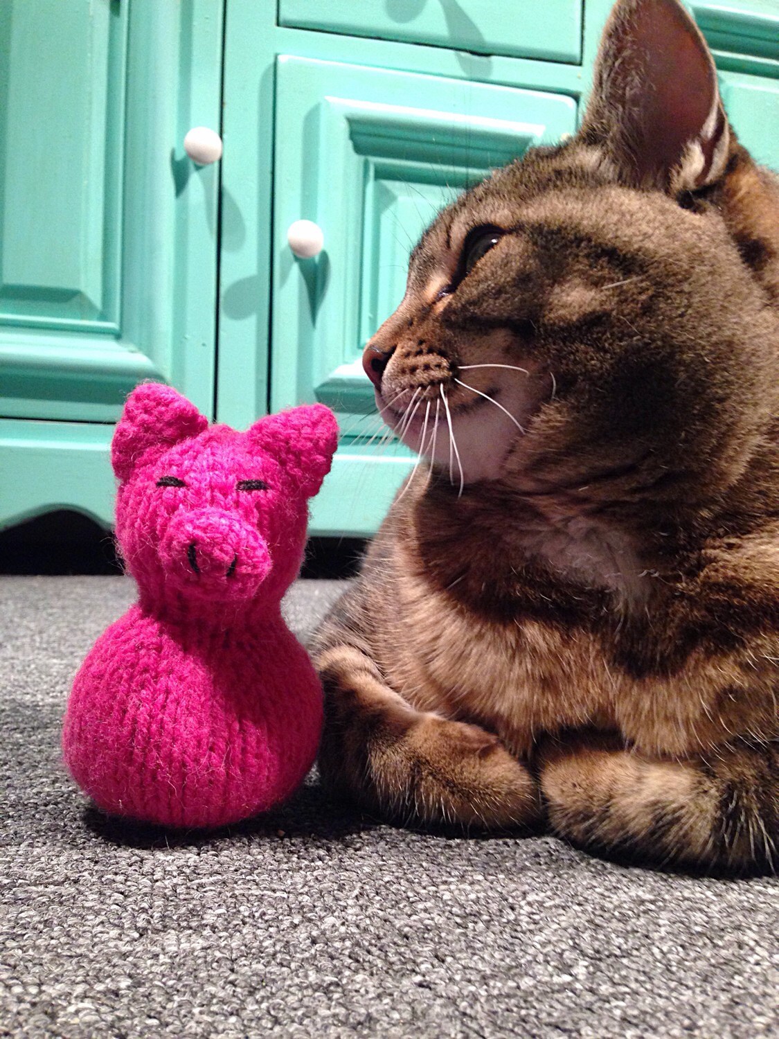 Pinky the Pig Cat Toy | Etsy