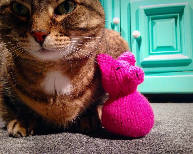 Pinky the Pig Cat Toy - Etsy