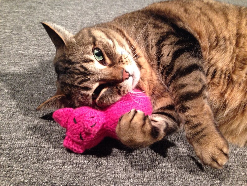 Pinky the Pig Cat Toy | Etsy