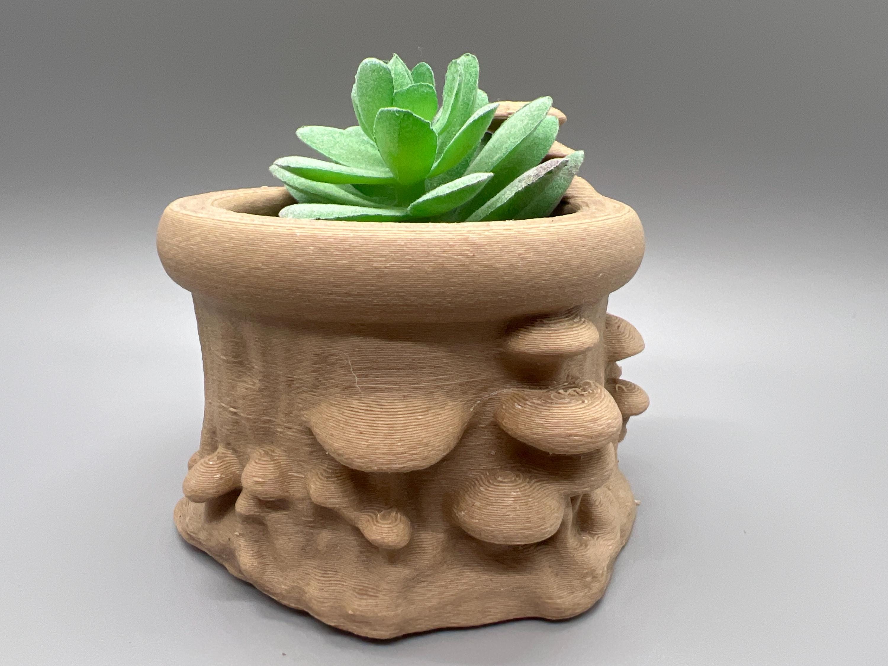 Mini Potted Planter - Mushroom Well - for Succulents or Mini Plants - Etsy