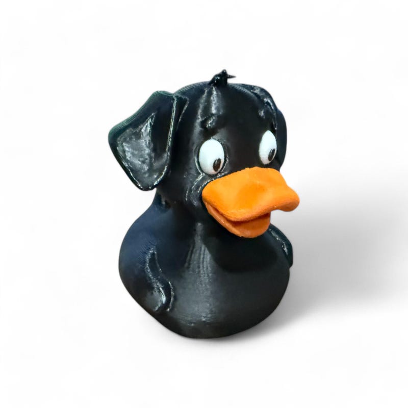 Black Lab Duck Print - Etsy