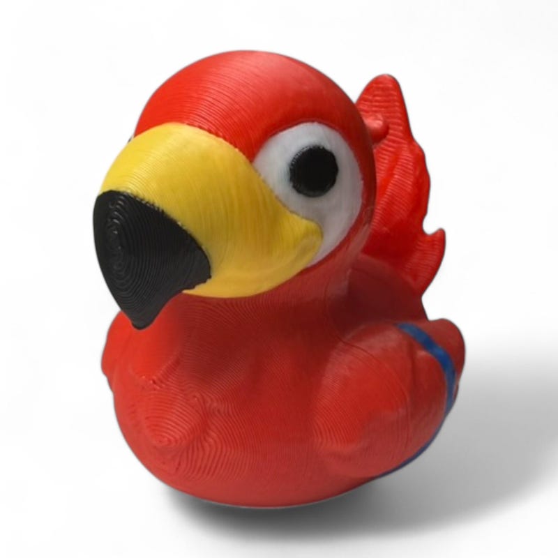 Parrot Rubber Duck - Etsy