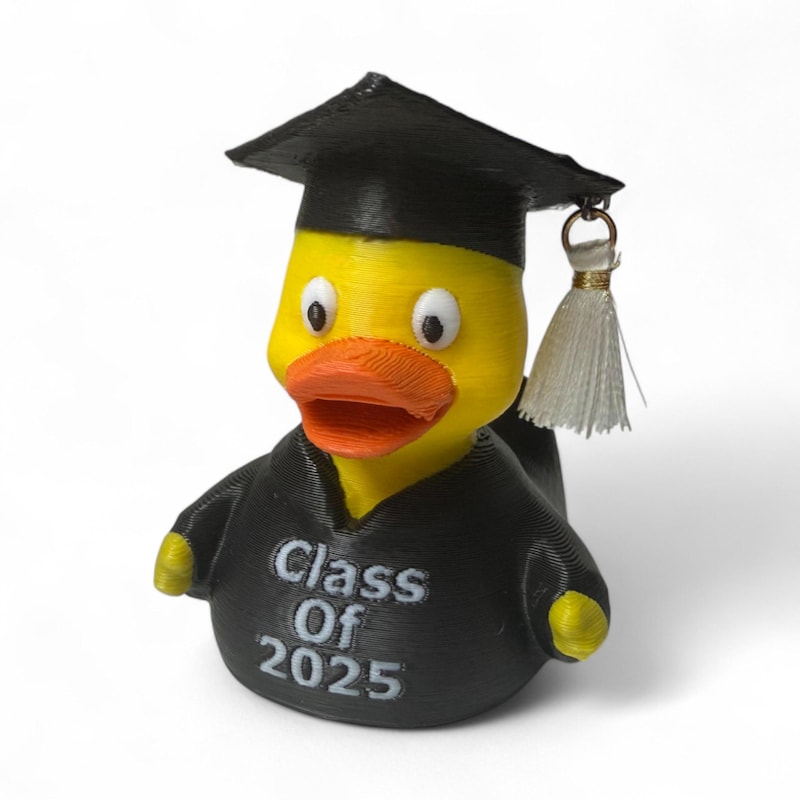 Graduation Rubber Ducks - Etsy