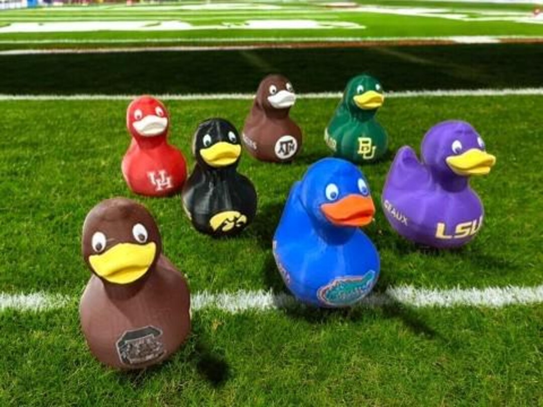 Custom School Ducks - Etsy UK