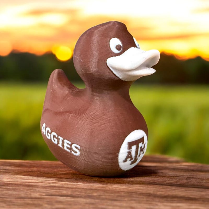 Custom Rubber Ducks - Etsy