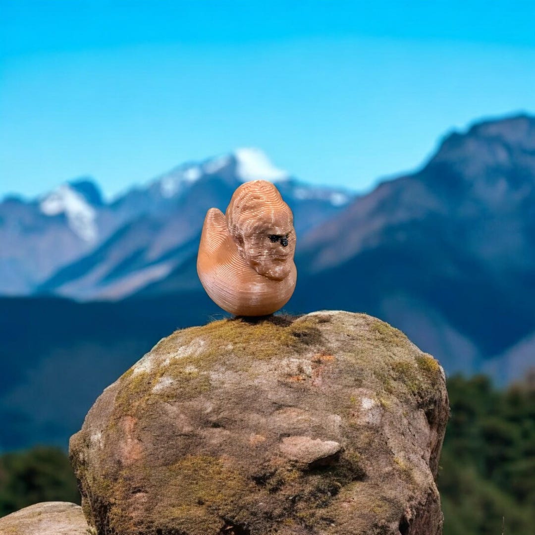 Mini Bigfoot Ducks - 3d-printed Forest Duck Collectible With Hidden ...