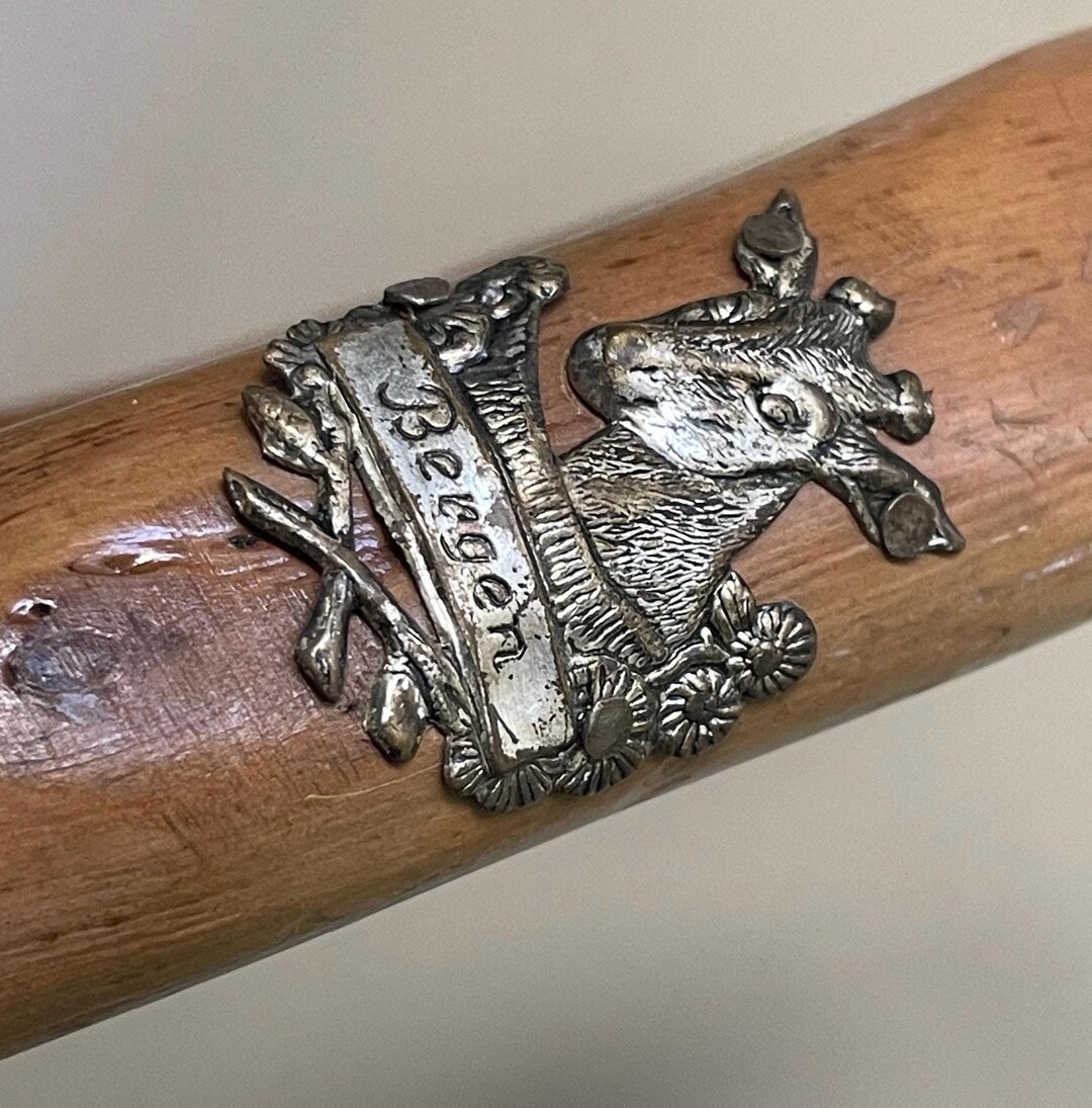 Vintage German Ice Walking Stick Hiking Cane With Metal Medallions ...