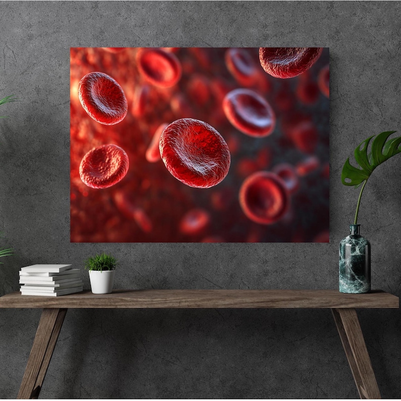 Red Blood Cells Matte Poster - Medical Science Art, Anatomy Wall Decor ...