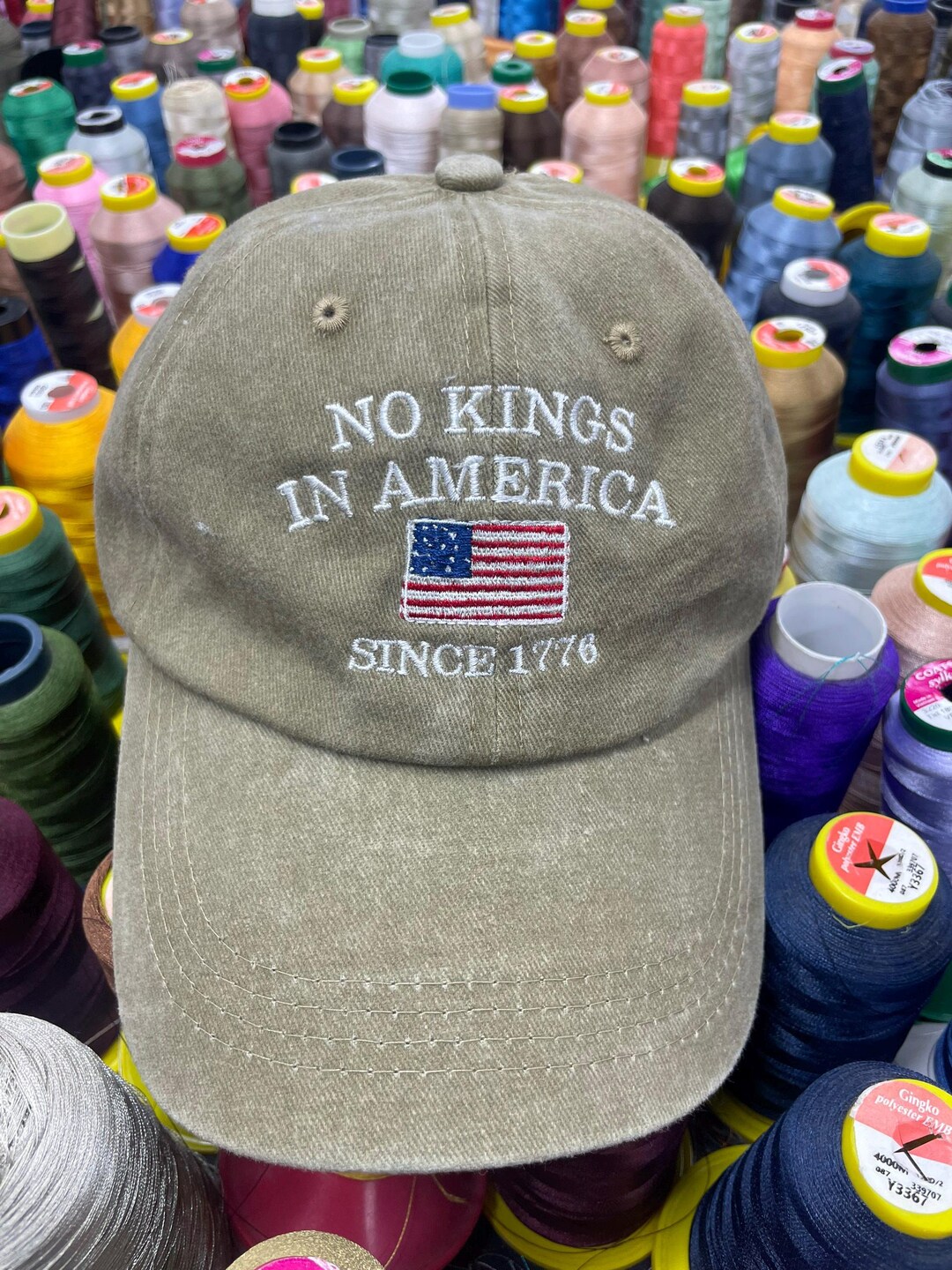 No Kings in America Embroidered Hat, Hat Gift for Anti MAGA, Anti-trump ...