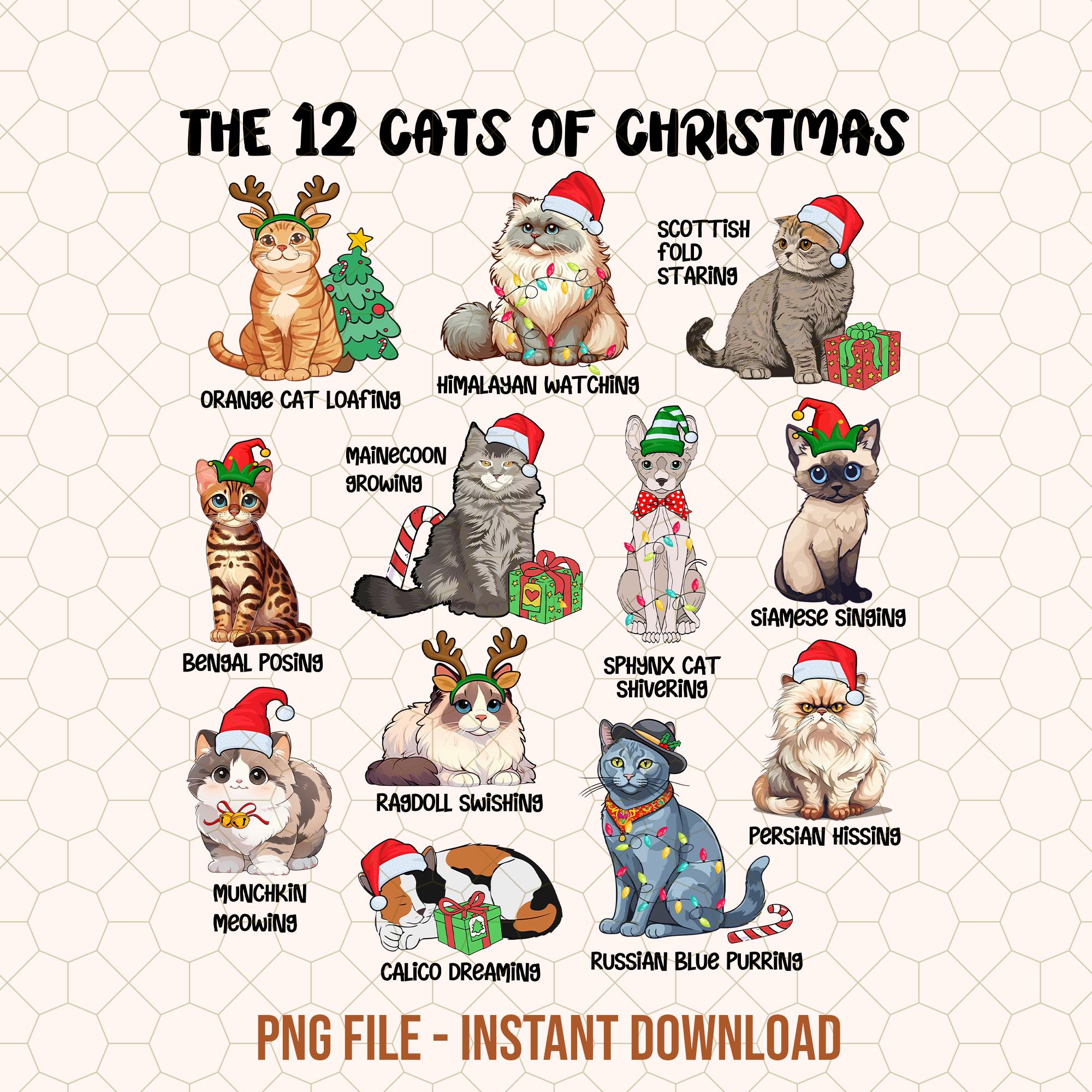 The 12 Cats of Christmas Png, Cute Cat Christmas Png, Cat Lover Gifts ...