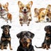 Realistic Dogs 300 PNG Clipart Bundle, Many Breeds High-resolution 300 ...