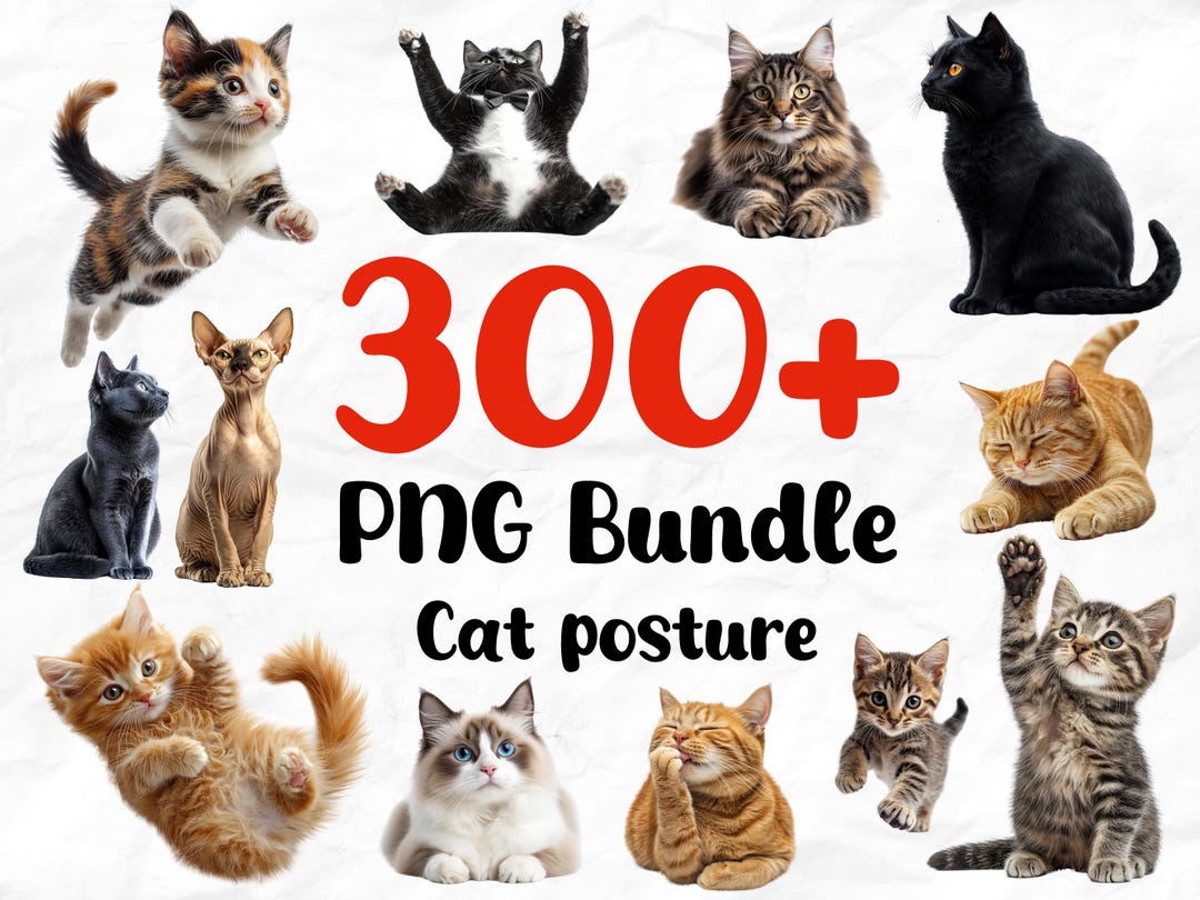 300+ Realistic Cat Posture Clipart Bundle | Cat Breeds & Pet Animals ...