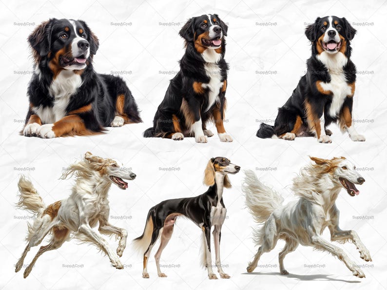 Realistic Dogs 300 PNG Clipart Bundle, Many Breeds High-resolution 300 ...