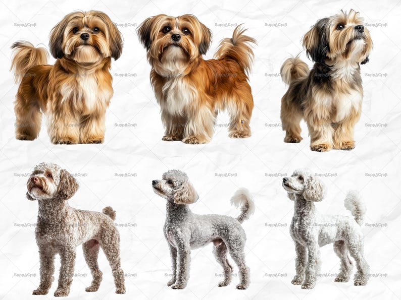 Realistic Dogs 300 PNG Clipart Bundle, Many Breeds High-resolution 300 ...