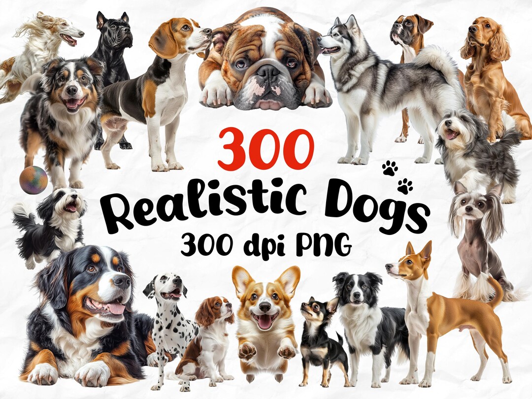 Realistic Dogs 300 PNG Clipart Bundle, Many Breeds High-resolution 300 ...