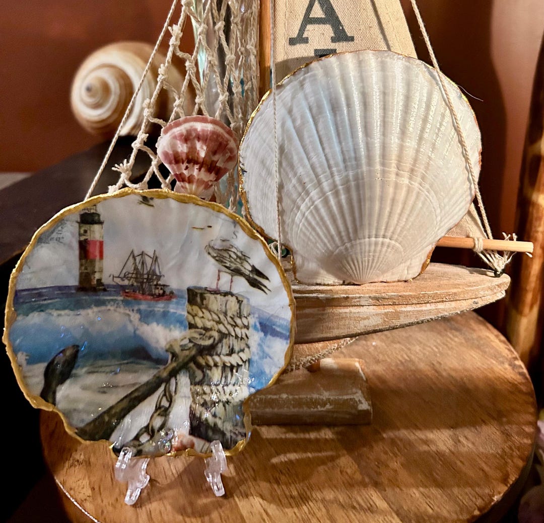 The Lighthouse Collection Decorative Shells That Make Great Soap Dishes ...