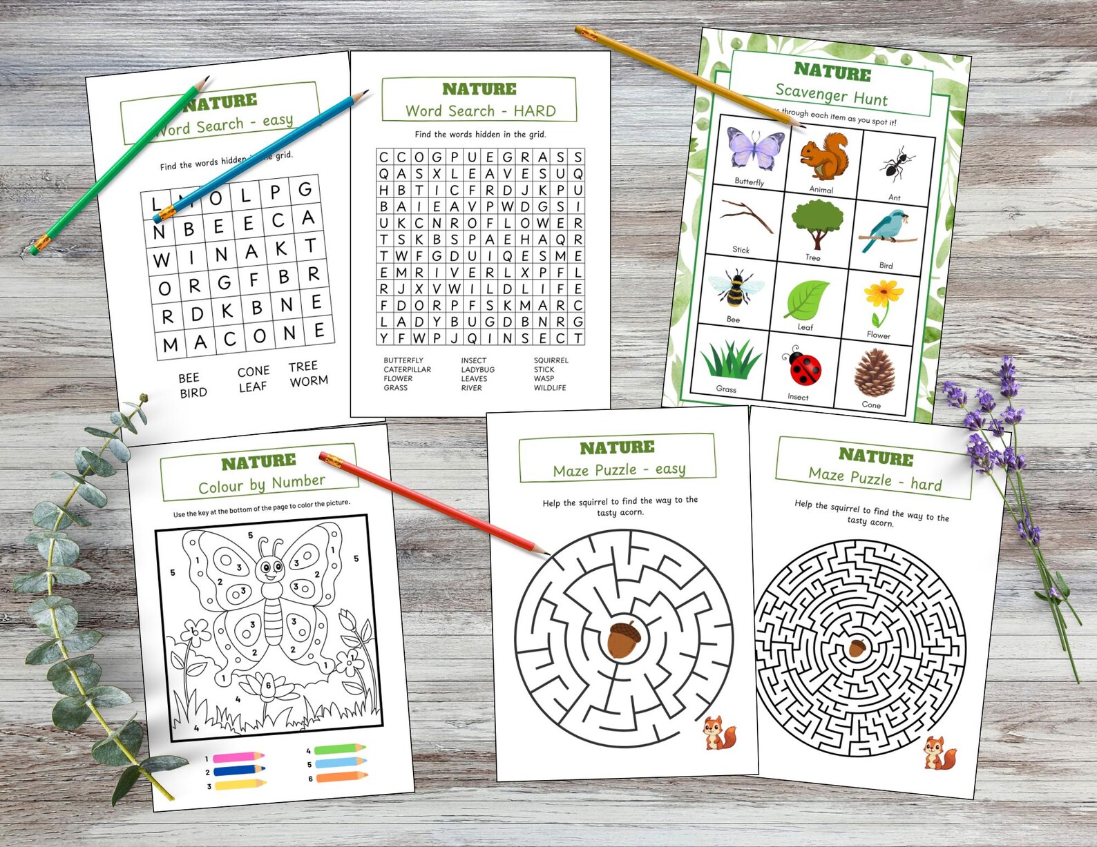 Nature Activity Bundle, Maze and Colour by Number, Scavenger Hunt, Word ...