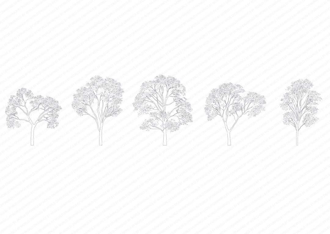 5 Trees - Line Drawings/blocks - Etsy