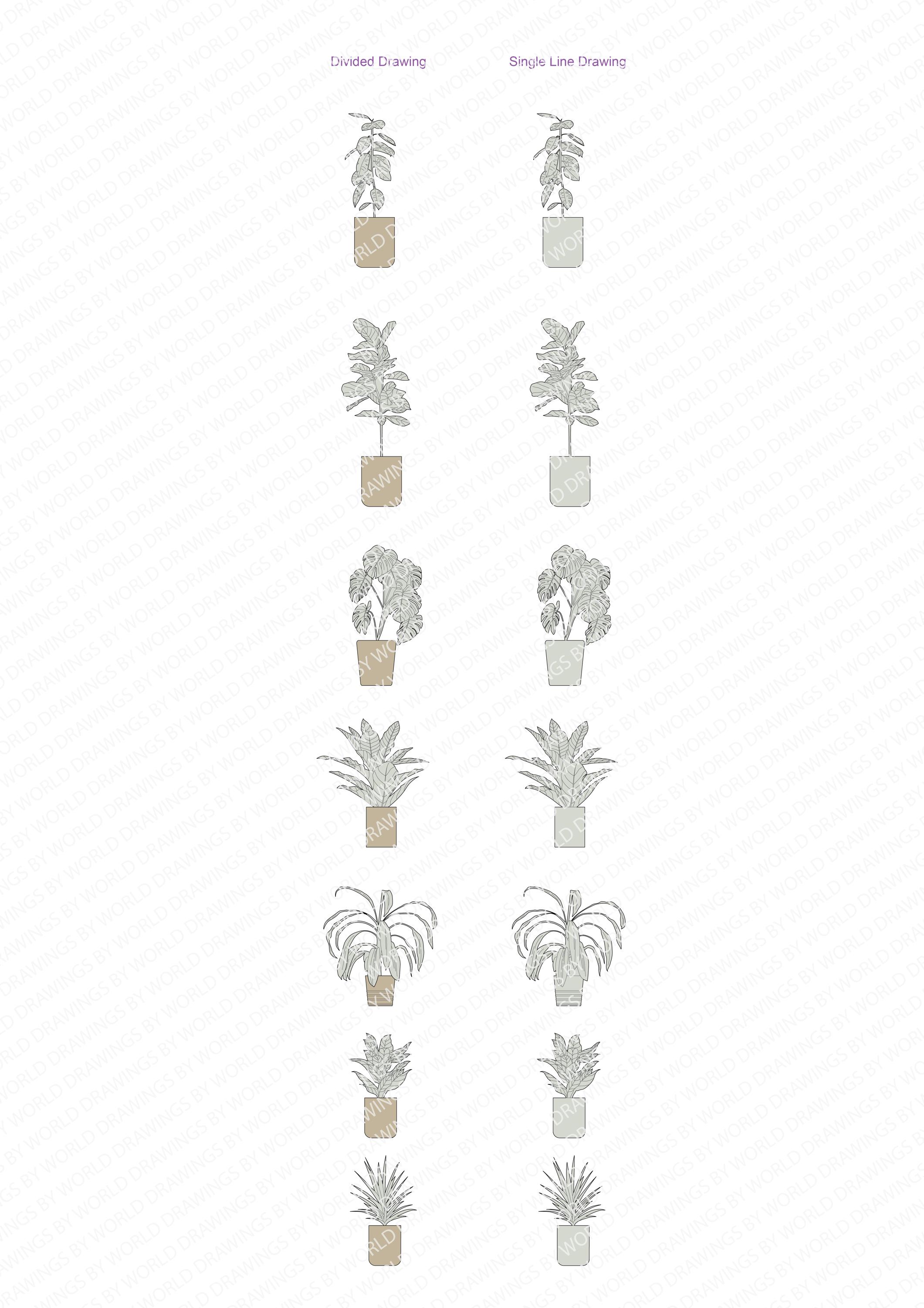 Potted Plants - Indoor Plants - Etsy