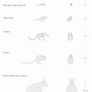 5 Endangered Australian Animals - Etsy