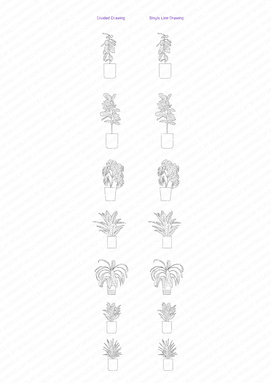 Potted Plants - Indoor Plants - Etsy