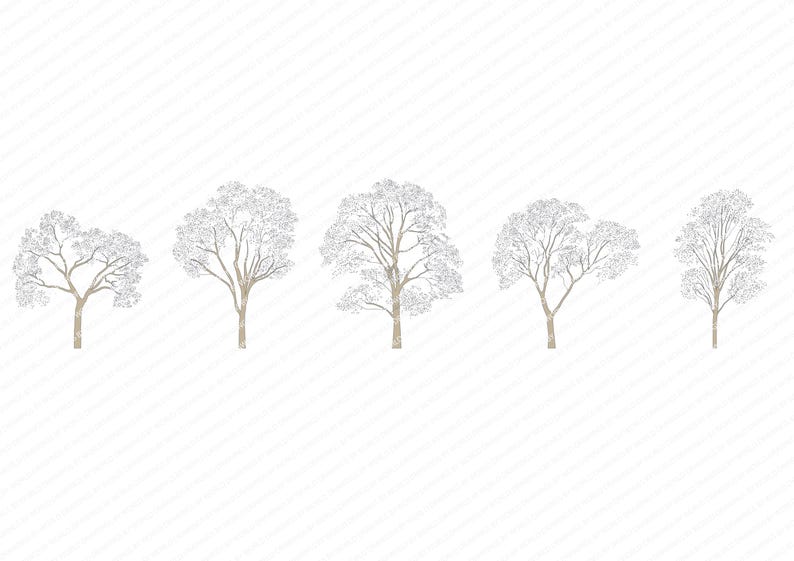 5 Trees - Line Drawings/blocks - Etsy