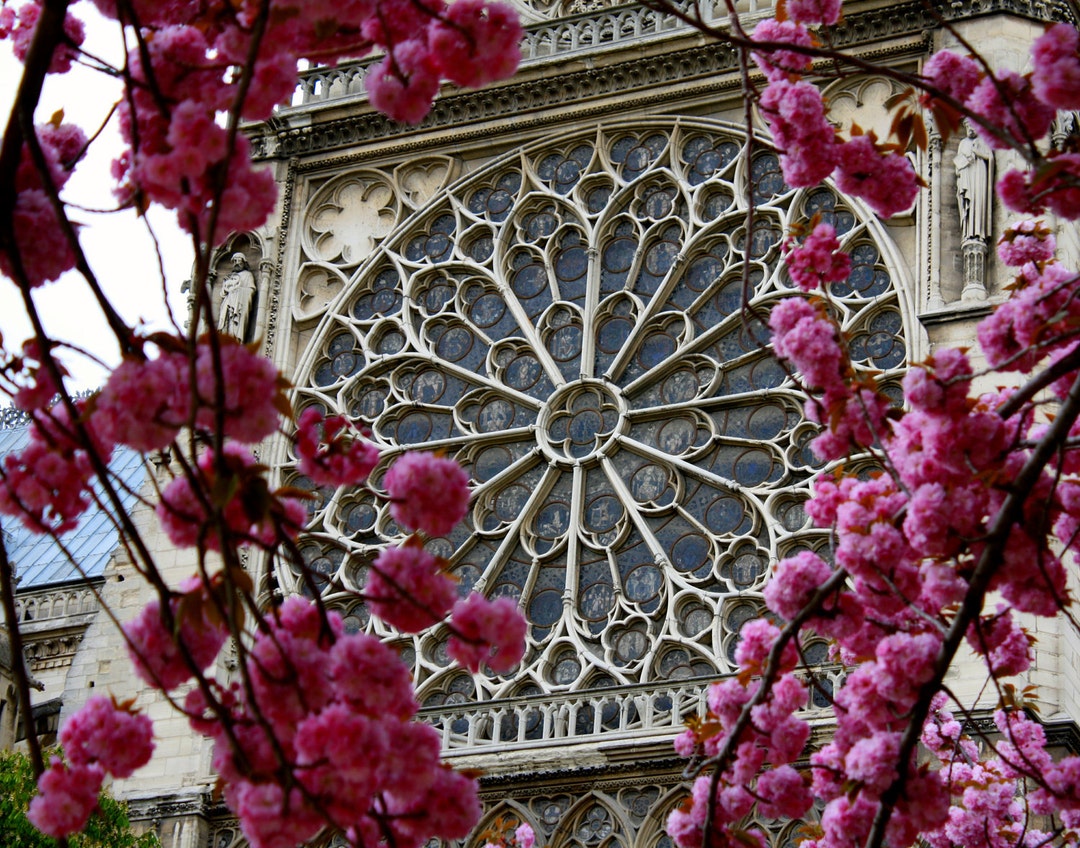 Notre Dame Rose Window - Fine Art Print - Etsy