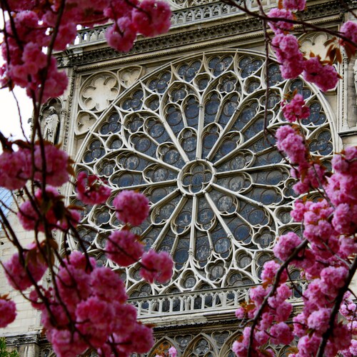 Notre Dame De Paris NORTH Rose Window Round Poster - Etsy