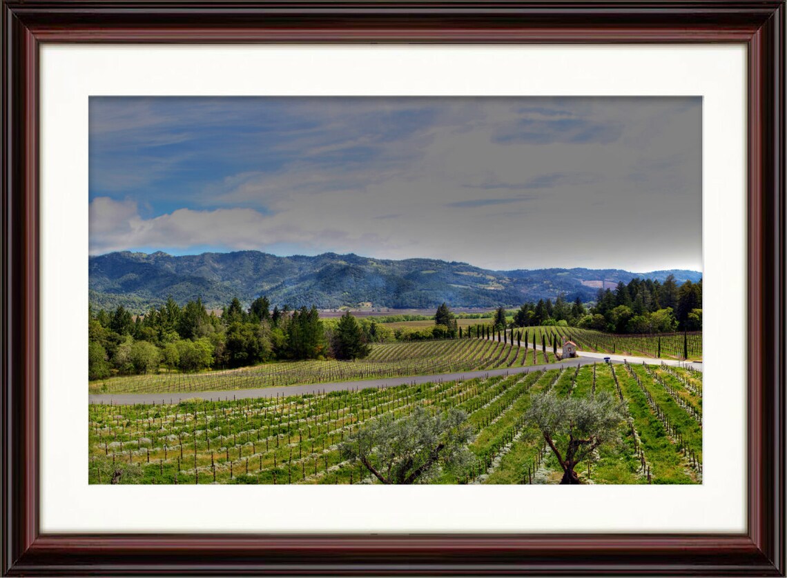 Napa Valley - Fine Art Print - Etsy