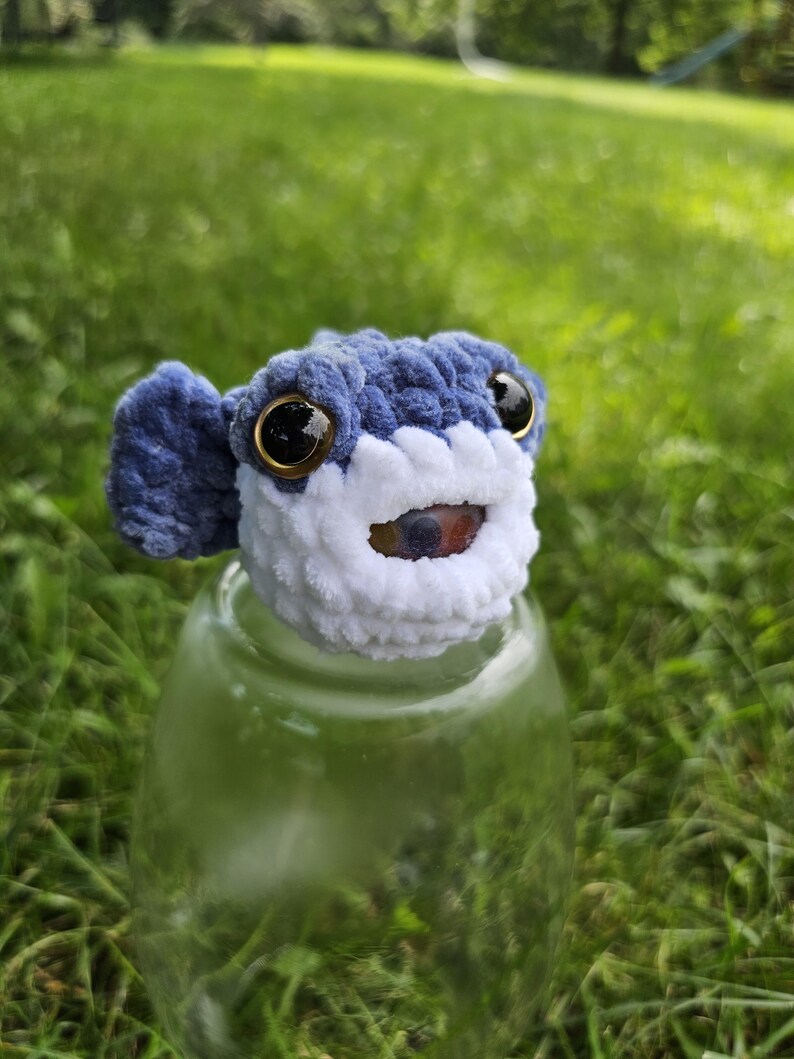 Squish Fish Stress Ball Choice of Colors - Etsy