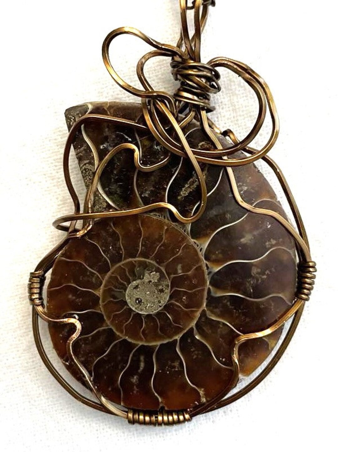 Ammonite Wire Wrapped Pendant W Chain - Etsy
