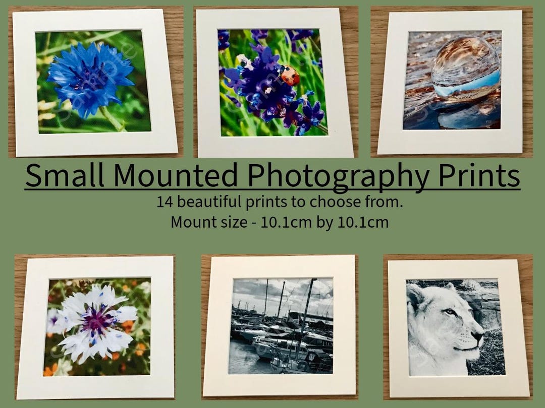 Small Mounted Photography Prints - Etsy