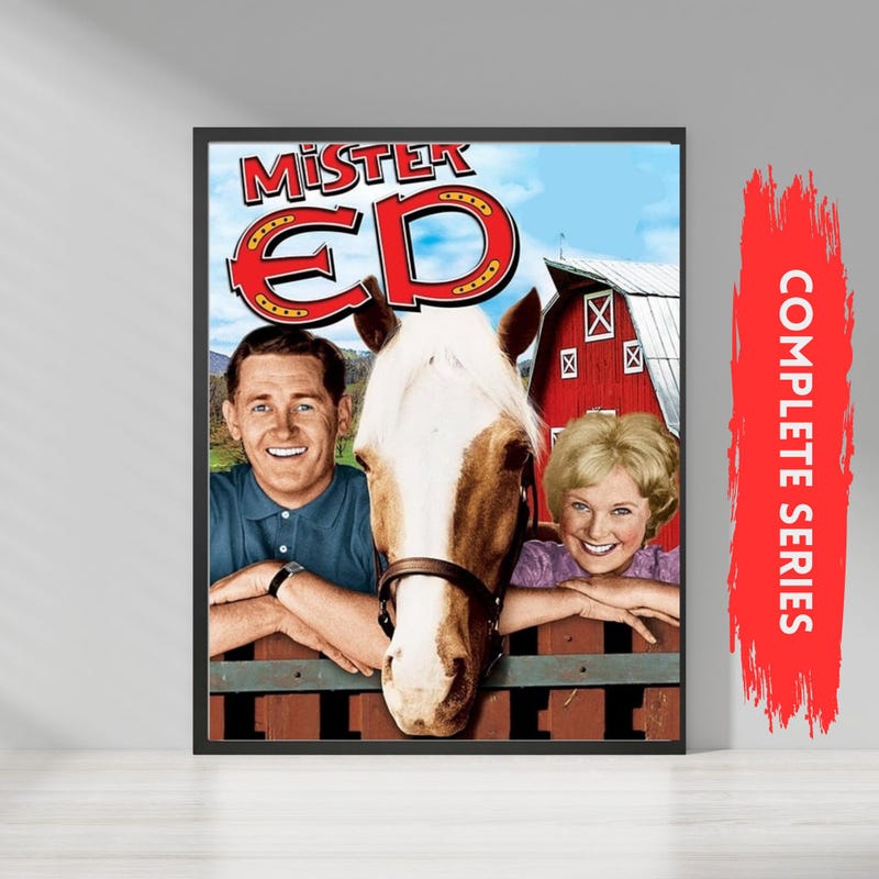 Mr Ed - Etsy