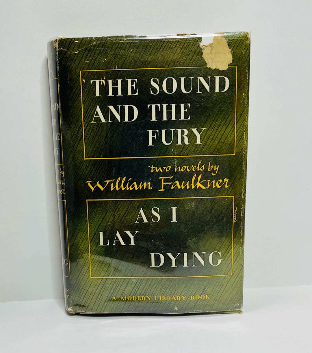 The Sound and the Fury & as I Lay Dying | William Faulkner | Modern ...