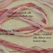 10 Pcs Fairy Ribbons Pick Any Colors Silk Jewelry Cords Hand Dyed ...
