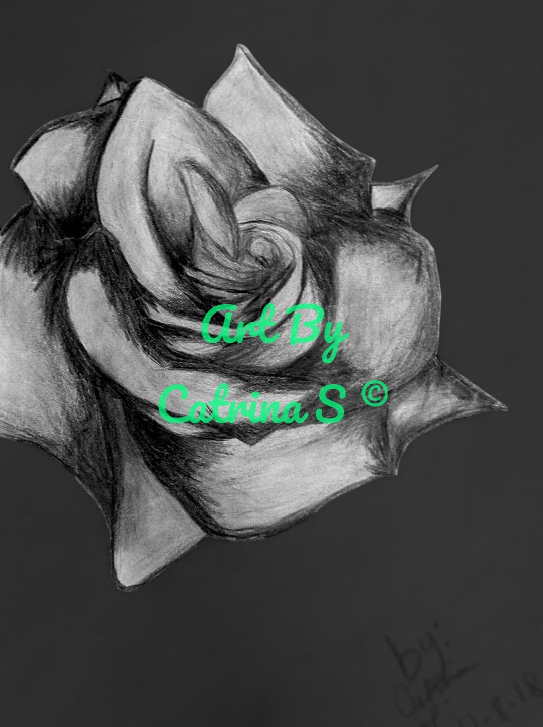 Pencil Freehand prints on Canvas Many Sizes Available Prices Vary ...